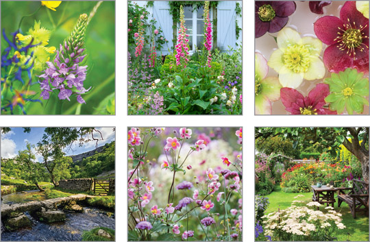 ArtEco Designs / The Heart of a Garden